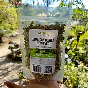 Jamaican Guinea Hen Weed, Wildcrafted Anamu Herb, leaves and stem