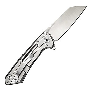 Casvno Pocket Knife Folding knife （F04B）：2.68” D2 Steel Blade& Handle,SpeedSafe Assisted Open, Flipper, Liner and Tip Lock,3.79 oz