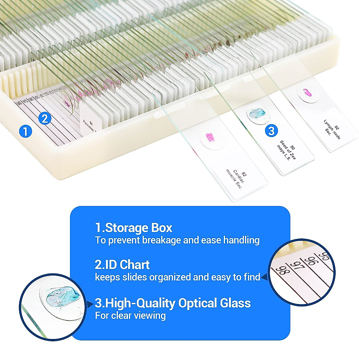 100 Prepared Microscope Slides with Specimens for Kids Adults - Bacterium, Fungus, Human Tissues, Mitosis, Plants, Insects, Animals Cells Samples for Biological Science Lab, School Students