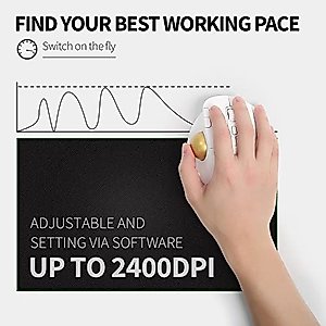 DeLUX Bluetooth Trackball Mouse, Wireless Ergonomic Rollerball Mouse with 2400DPI, Smooth Easy Thumb Control, 3 Devices Connection, Compatible for Windows, PC, Mac (MT1-White)