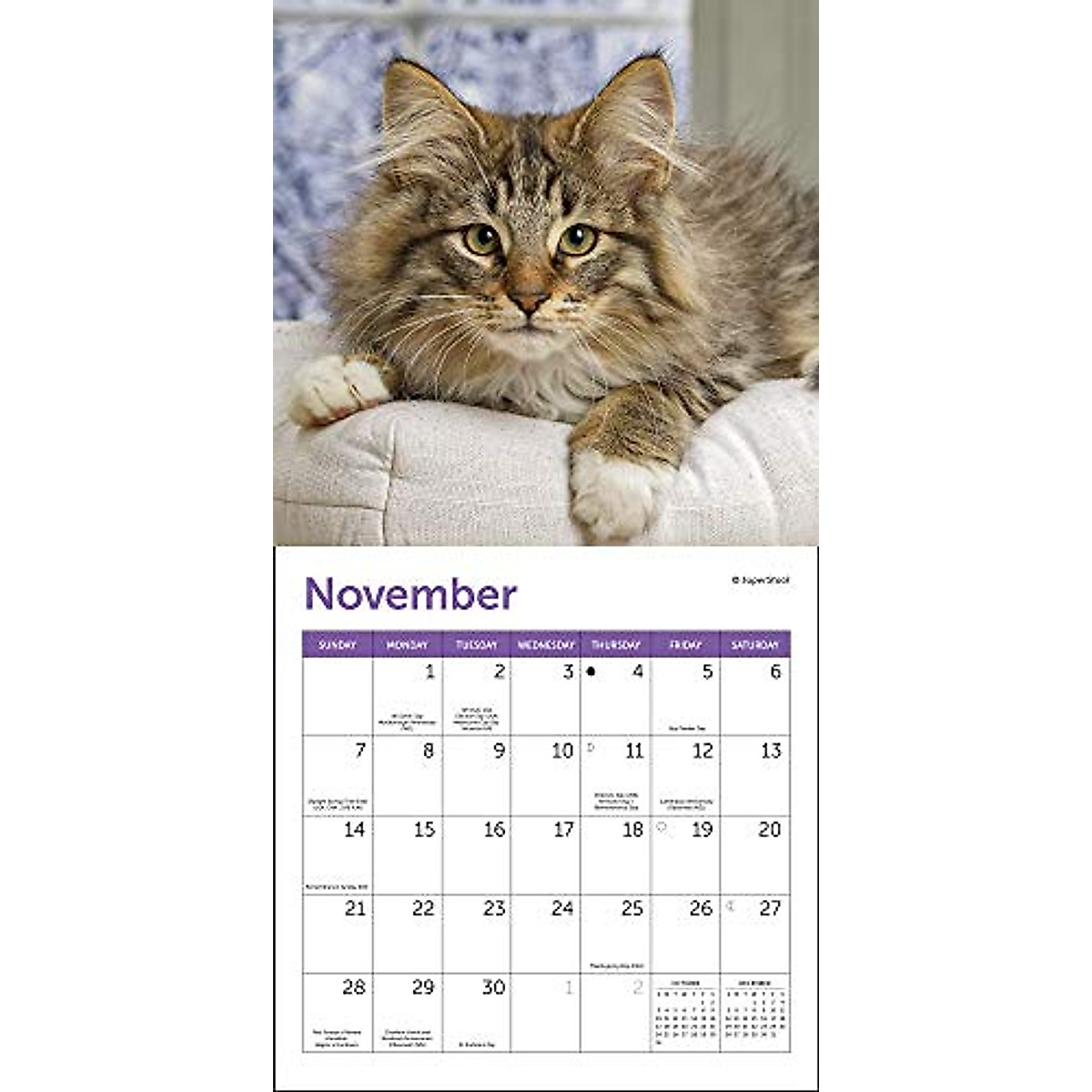 Cats Mini Wall Calendar 2021, 7" x 7"