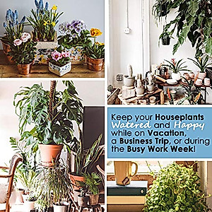 Retain by Rain Soil – 22 Oz – Water Holding Polymer Crystals Soil Additive – Store Up to 7 Gallons of Water for House & Garden Plants, Hanging Baskets – Reduce Watering Frequency