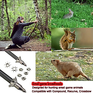 ZSHJG 25 Grain 8 Paw Judo Blunt Tip Archery Judo Broadheads Hunting Small Game Arrow Heads for Hunting Shooting Target 6/12 Pieces (12pcs)