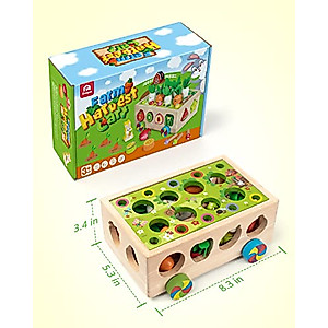 Coogam Montessori Fine Motor Toys for Baby Toddler, Wooden Shape Sorter Carrot Harvest Game, Preschool Learning Educational Gift Toy for 3 4 5 Year Old