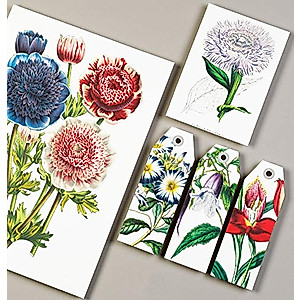 Flowers: Paper Craft Book with Cards, Envelopes, Stickers, Tags & Colouring Sheets (Multilingual Edition) (English, Spanish, French and German Edition)