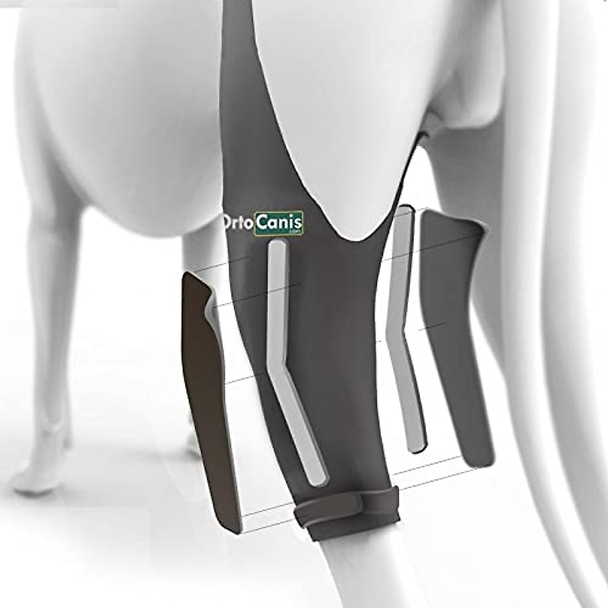 Ortocanis - Knee Brace for Dogs with Ligament Rupture and Patella Luxation, Size XXS, Left Leg