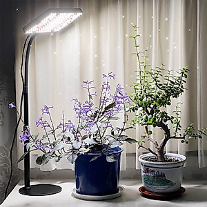 FECiDA Grow Lights for Indoor Plants Full Spectrum, Desk Grow Light, 4/8/12 Hr Timer Table Top Houseplants Grow Lamp, 208PCS LEDs, 2000 Lumen, Bright Enough, 16"-24" Height Adjustable