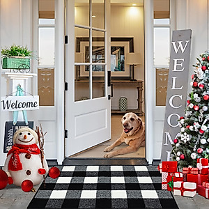 Buffalo Plaid Outdoor Rug, 24"x36" Checkered Front Door Mat, Non Slip Absorbent Entryway Rug Doormat Indoor, Washable Outdoor Rugs for Layered Door Mats Porch/Front Porch/Farmhouse Black and White
