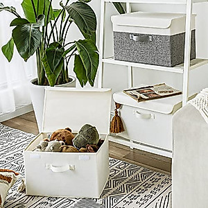 GRANNY SAYS Bundle of 2-Pack Storage Baskets with Lids Large & 1-Pack Hanging Closet Organizer