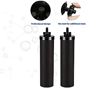 Water Filter Replacement Water Filtration System, Fluoride Filters 2 Pack and Black Filters 2 Pack