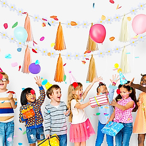 Tudomro 2 Pcs Daisy Groovy Boho Garland with 20 Pcs Paper Tassels, Groovy Party Decorations Hippie Daisy Felt Banner Artificial Daisy Party Favor for Wedding Birthday Party Bridal Decorations(Daisy)