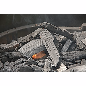 BIG CP 20-pound bag of natural lump charcoal