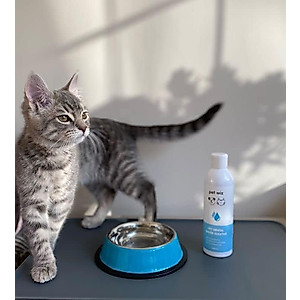 pet wiz Dental Water Additive for Dogs & Cats - Plaque Remover, Treatment for Gums & Tartar, Promotes Fresh Breath