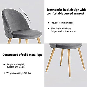 GreenForest Dining Chairs Set of 2, Modern Velvet Kitchen Room Chair Upholstered Accent Leisure Side Chairs with Metal Legs, Gray