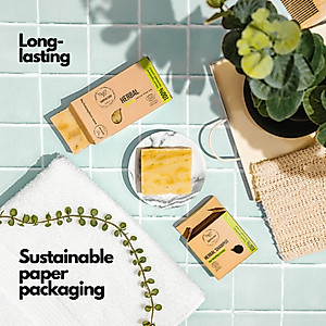 SoapFactory Organic Solid Dandruff Shampoo Bar for Oily Hair, Hair Soap with Tea Tree and Rosemary Oil, 100% Natural, Vegan, Handmade, Plastic Free, 3 ounce