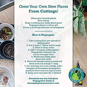 Houseplant Propagation Promoter & Rooting Hormone, Root Stimulator, Plant Starter Solution for Growing New Plants from Cuttings (Formulated for Fiddle Leaf Fig or Ficus Lyrata)