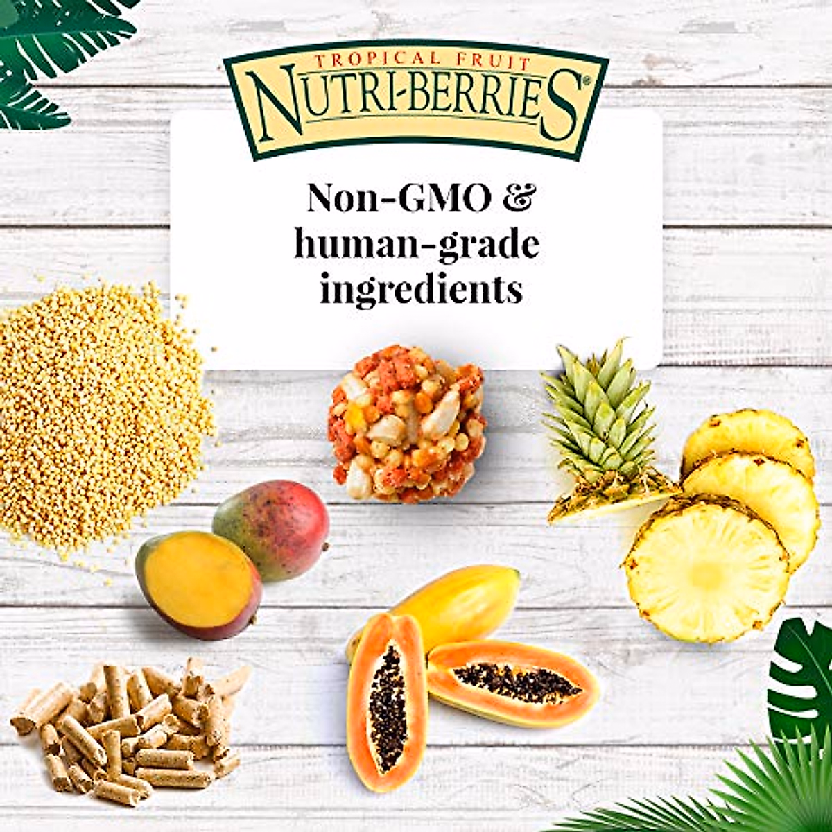 LAFEBER'S Tropical Fruit Nutri-Berries Pet Bird Food, Made with Non-GMO and Human-Grade Ingredients, for Macaws and Cockatoos, 10 oz