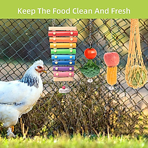 KAKUNM Chicken Toys for Coop Accessories 7PCS | Chicken Xylophone | Chicken Swing Set | Chicken Mirror Toy | Chicken Flexible Ladder | Chicken Vegetable String Bag and Hanging Feeder