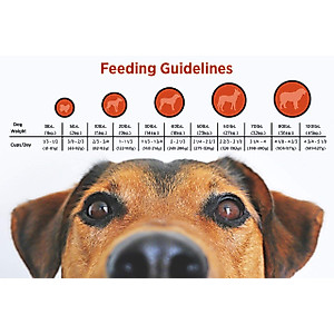 Blackwood Dog Food Made in USA Slow Cooked Dry Dog Food [Natural Dog Food For All Breeds and Sizes], Lamb Meal & Brown Rice Recipe, 15 lb. Resealable Bag To Preserve Freshness