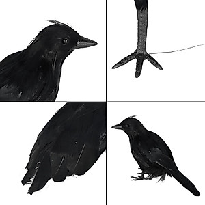 JOYIN 6 Pcs Crow Raven Halloween Decoration Indoor Outdoor Decor, Black Fake Crows Ravens Bird Props Haunted House Graveyard Cemetery Yard Table Decor Halloween Party Favors Desk Trees Walls Windows