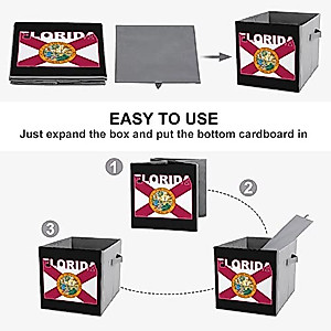 Florida State Flag Large Cubes Storage Bins Collapsible Canvas Storage Box Closet Organizers for Shelves