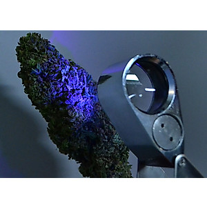 T-H-SEE - The Marijuana Magnifier