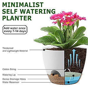 QRRICA Plant Pots 10/9/8/7.5/7 Inch Self Watering Pots, Set of 5 Plastic Planters with Drainage Holes and Saucers,Plastic Flower Pots,Nursery Planting Pot for Indoor Out Door Plants（White）