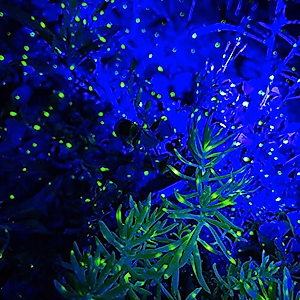 Lunmore Firefly Garden Lights Star Projector Laser Christmas Lights