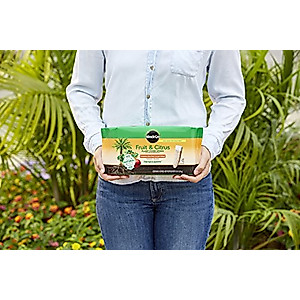 Miracle-Gro Fruit & Citrus Plant Food Spikes 12 per Pack