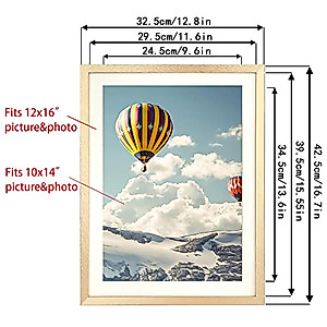 Mxtallup 12x16 Diamond Painting Frames Wood ,Display Pictures 10x14 Inch/25X35 cm with Mat or 12x16 Inch /30X40 cm Without Mat, Diamond Painting Picture Frames 30x40 Diamond Art Frames Picture Gold (TYK0024)