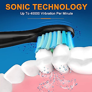 Toothbrush Heads for FairyWill, Electric Toothbrush Replacement Heads for FairyWill FW507/508/551/515/917/ 959/2011,FW-D1/D3/D7/D8