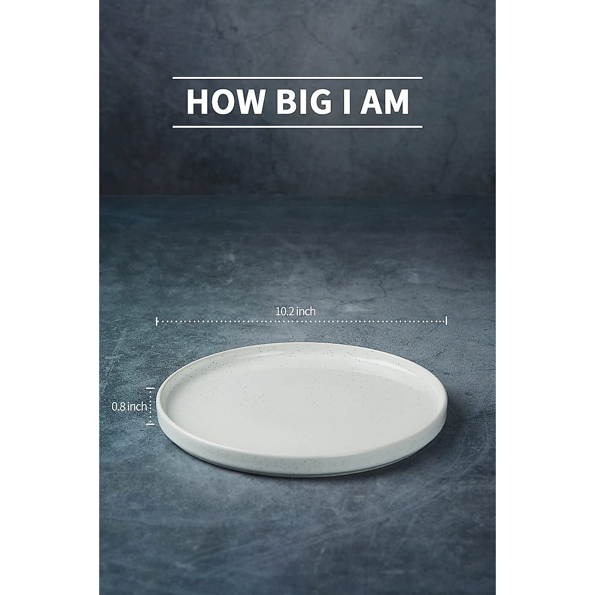 famiware Nebula 6 Pieces Dinner Plates, 10.2 inch Plates Set, Scratch Resistant, Stoneware Dinnerware, Kitchen Modern Rustic Dishes, White