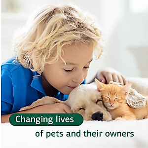 Standard Process VF Bio-Dent for Pets - Bone Growth & Healthy Tissue Support Pet Supplement - Overall Mouth Health Support Supplement - Nutritional Supplement for Cats & Dogs - 90 Tablets