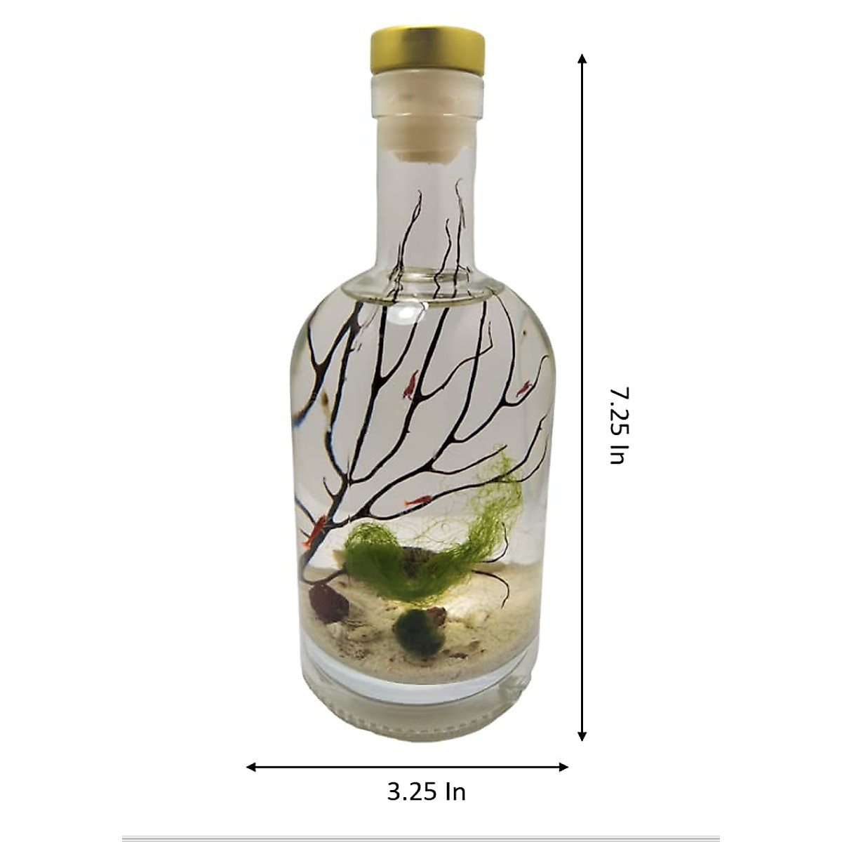 Enclosed Ecosystem Shrimps Bottle