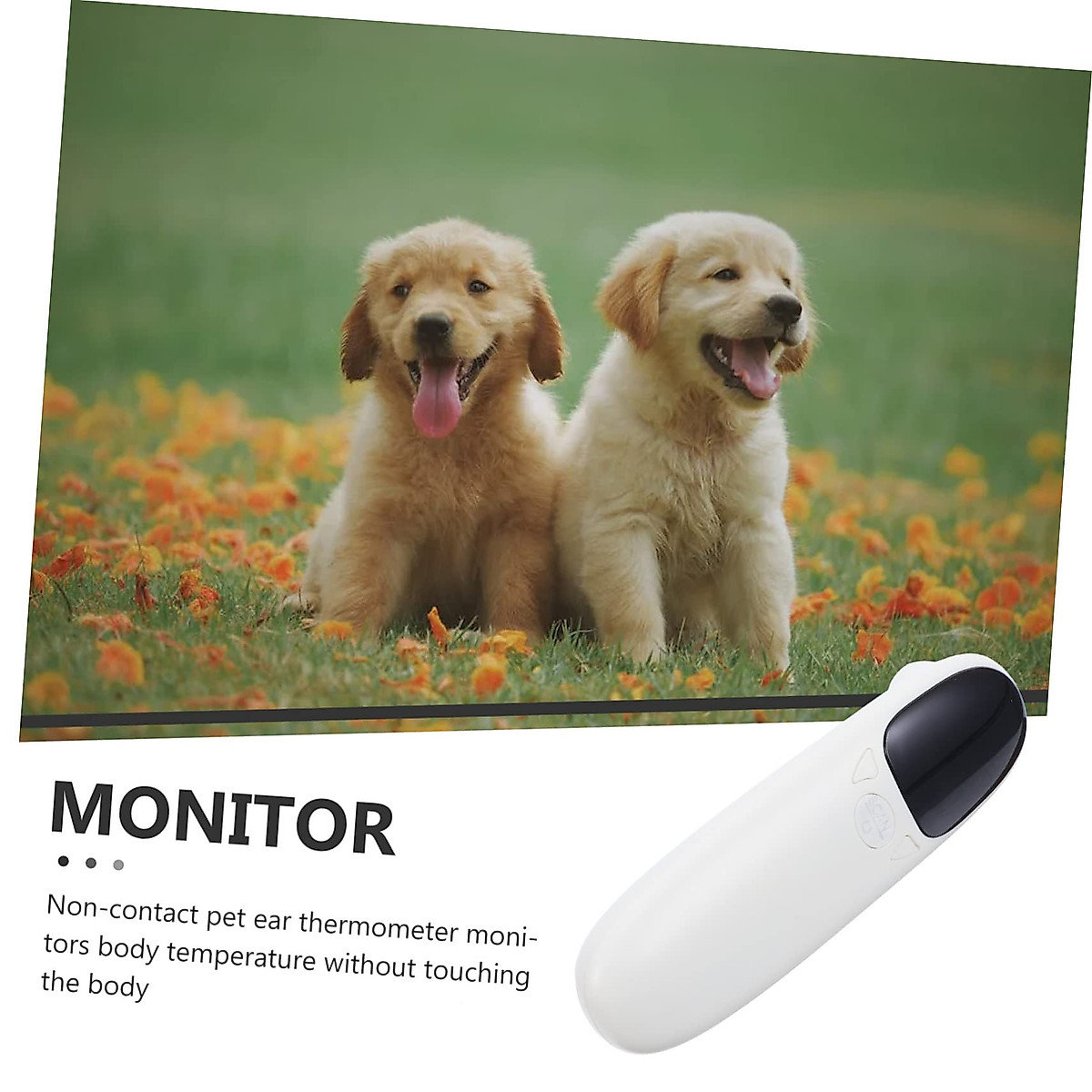 ABOOFAN 1 Set Pet Small for Pets Animal Dog Ear Temperature Accurate Temperature Detection Digital Dogs Cats Plastic Forehead Major Baby