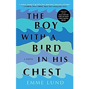 The Boy with a Bird in His Chest: A Novel