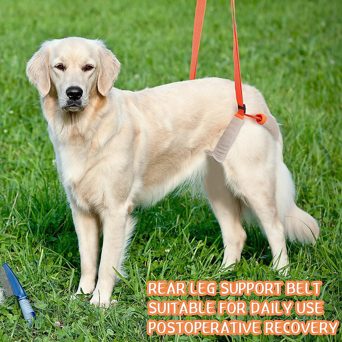 Mixweer 2 Pcs Dog Support Harness for Back Legs Dog Rear Lifting Sling Aid with Handle and Shoulder Strap Hind Leg Support for Pet Mobility Helps Dogs with Poor Stability Joint Injuries (Orange)