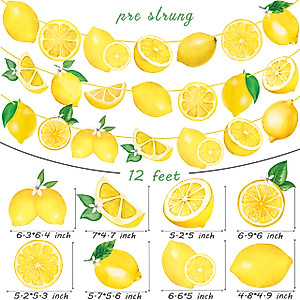Lemon Party Banners Yellow Lemon Birthday Party Decorations Lemonade theme Banners for Summer Fruit Party Lemon Theme Party Bridal Shower Party Supplies
