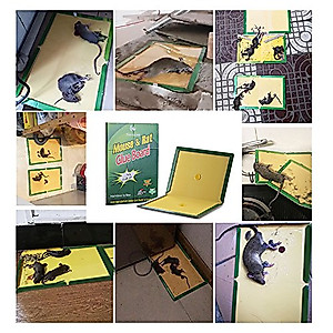 Kensizer 12-Pack Mouse Rat Glue Trap, Super Sticky Adhesive Glue Board Traps for Mice Rats Catches Indoor&Outdoor, Trampas para Ratones, Extra Strength Heavy Duty Large Size Pads