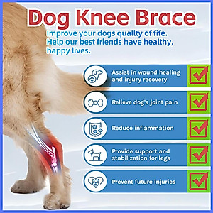 dreamynini Dog Knee Brace for Torn Acl Hind Leg, Dog Hip Support Brace for Cruciate Ligament Injury, Hip Dysplasia, Better Recovery with Adjustable Dog Leg Braces for Back Leg or Front Leg - Medium