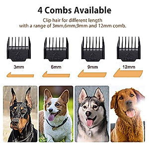 Maxshop Dog Grooming Kit, Low Noise Rechargeable Dogs Shaver Clippers Electric Quiet Dog Hair Trimmer for Dogs and Cats with Comb Guides Scissors Nail Kits (Gold-1)