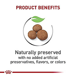 Royal Canin Size Health Nutrition Large Puppy Dry Dog Food, 17 lb bag