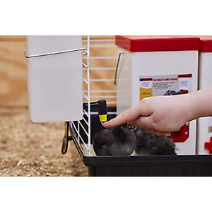 RentACoop 64oz(2L) Drinker Plus 2 Versatile Nipples - Suitable for Chicks, Quail, Pigeons, Doves, and Other Smaller Birds - 1 Pack