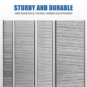 SITLDY 18 Gauge 1000-Count, Narrow Crown Staples 1/2"-200, 1"-400, 1-1/2"-200 and Brad Nails 3/4"-200, Galvanized, Assorted Size Project Pack