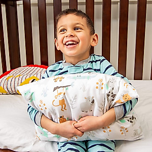 BB MY BEST BUDDY Toddler Kids Pillowcase for Boys and Girls - Butterfly/Butterflies 13 x 18 - shrinks to fit - 100% Cotton - Naturally Hypoallergenic and Soft - Designed in USA - Machine Washable