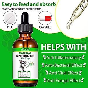 Natural Antibiotics for Dogs(2.02 Oz), Supports Dog Allergy Relief, Dog Multivitamin, Dog Antibiotic, Pet Antibiotics, Dog Itch Relief, Drops for General Strengthening, for All Breeds & Sizes
