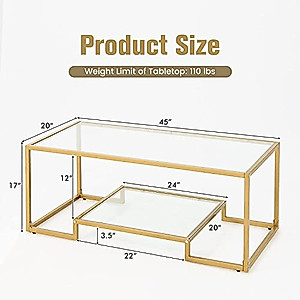 NAFORT Tempered Glass Coffee Table, 45 Inch Gold Rectangular Modern Center Table with Lower Storage Shelf, Sturdy Metal Frame, for Living Room Home Office/Gold