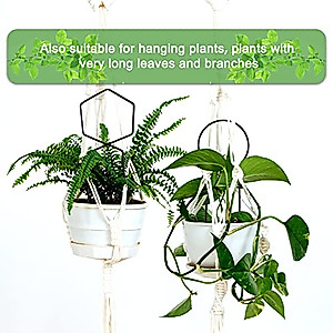 CREPUSCOLO 4 Pcs Metal Trellis for Indoor Potted Plants, Mini Plant Support Stake for House Climbing Plants, Plants Trellis for Garden Potted Plant, Pothos, Flower