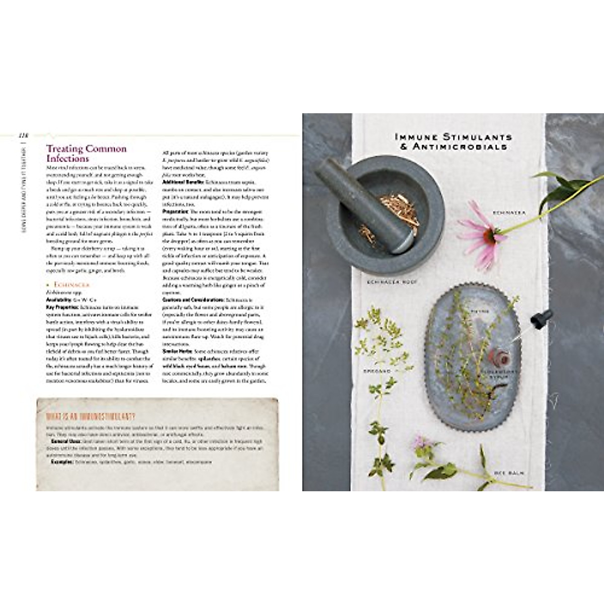 Body into Balance: An Herbal Guide to Holistic Self-Care