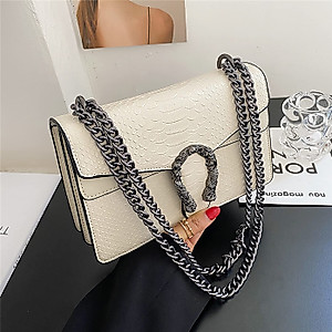 Crossbody Bags for Women Shoulder Hangbag Snake Printed Leather Small Square Satchel Purse Metal Chain Strap Clutch